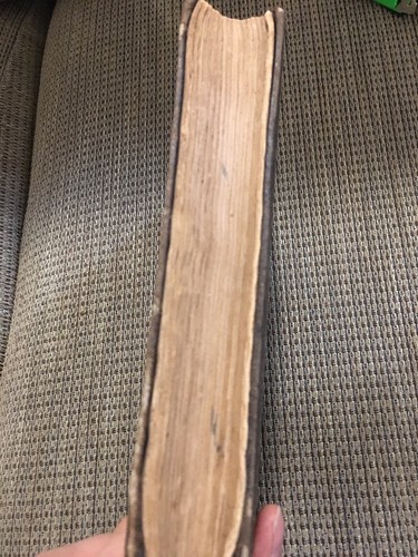 TRUE First Edition 1860 Adventures James Capen Grizzly Adams, Theodore ...