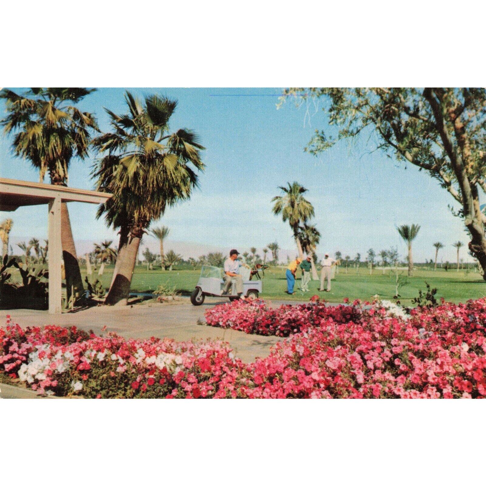 1950's Tamarisk Country Club Golf Cart Palm Springs Ca. Postcard 2R3 ...