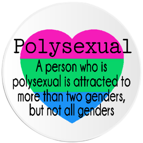 Polysexual Definition - 100 Pack Circle Stickers 3 Inch - LGBTQ+ Pride ...