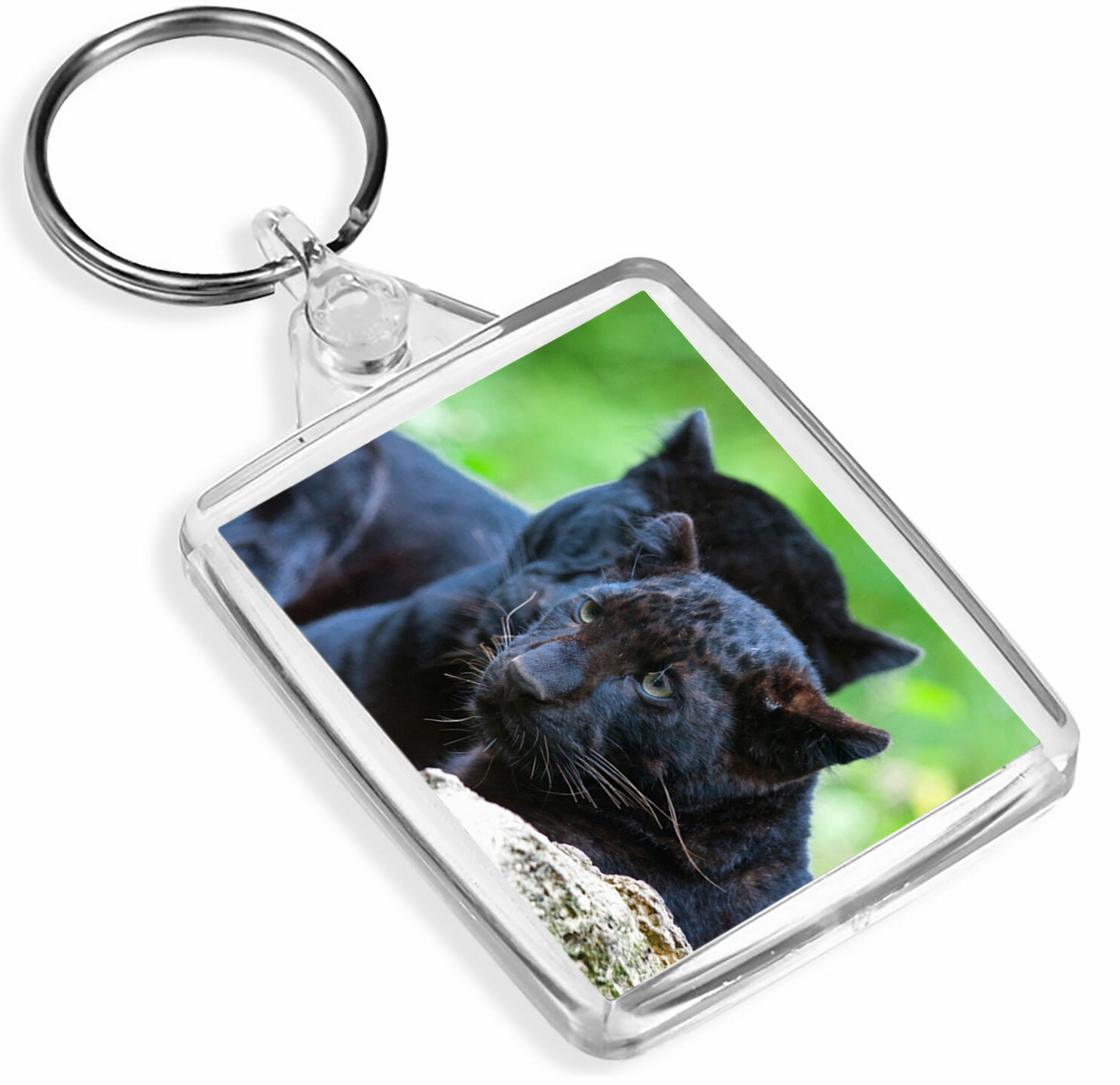 1 x Wild Animal Black Panther Cat - Keyring - IP02 - Mum Dad Kids Gift ...