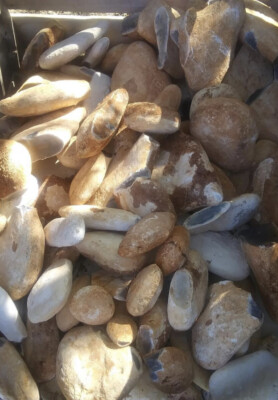 10 Pounds Of High Quality Georgetown Flint ( Whole Rock ) Flint ...
