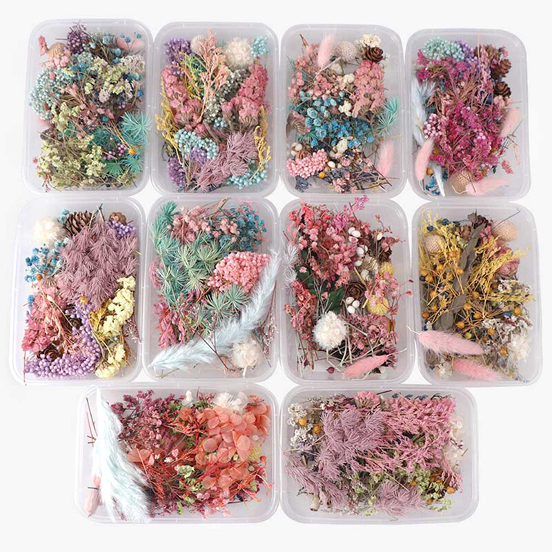 Dried Flowers Natural Floral Art Craft Scrapbooking Resin Jewelry ...
