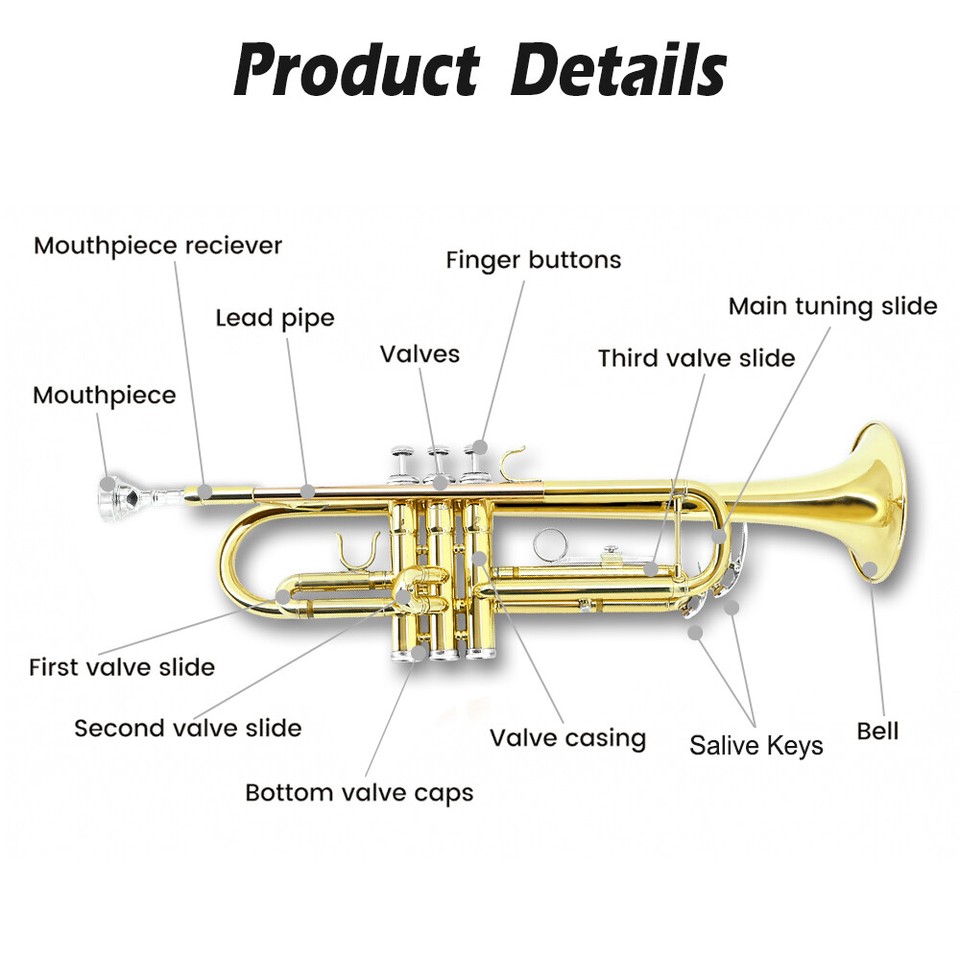 Bb Trumpet Professional Standard Trumpet for student ensembles and ...