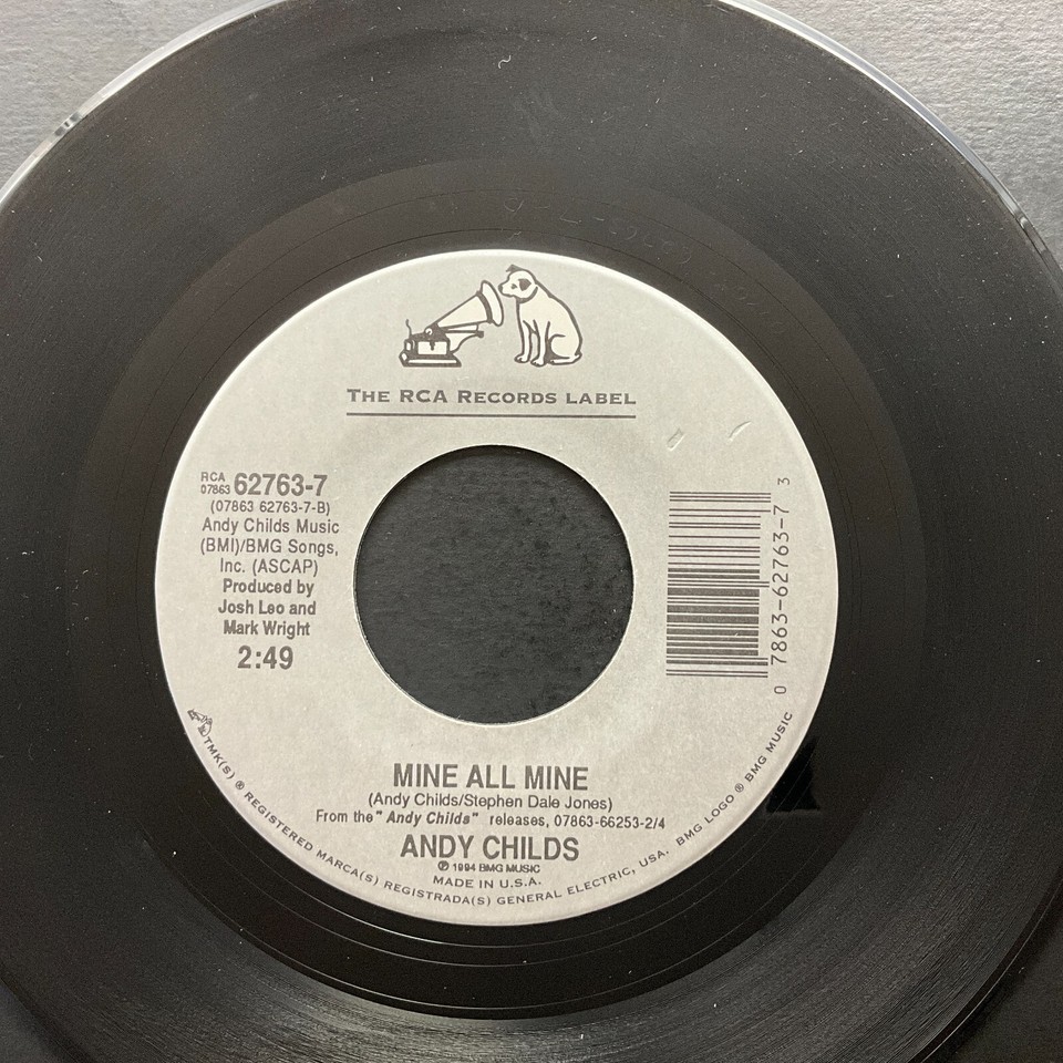 Andy Childs, Simple Life / Mine All Mine, 7" 45rpm, Vinyl NM | eBay