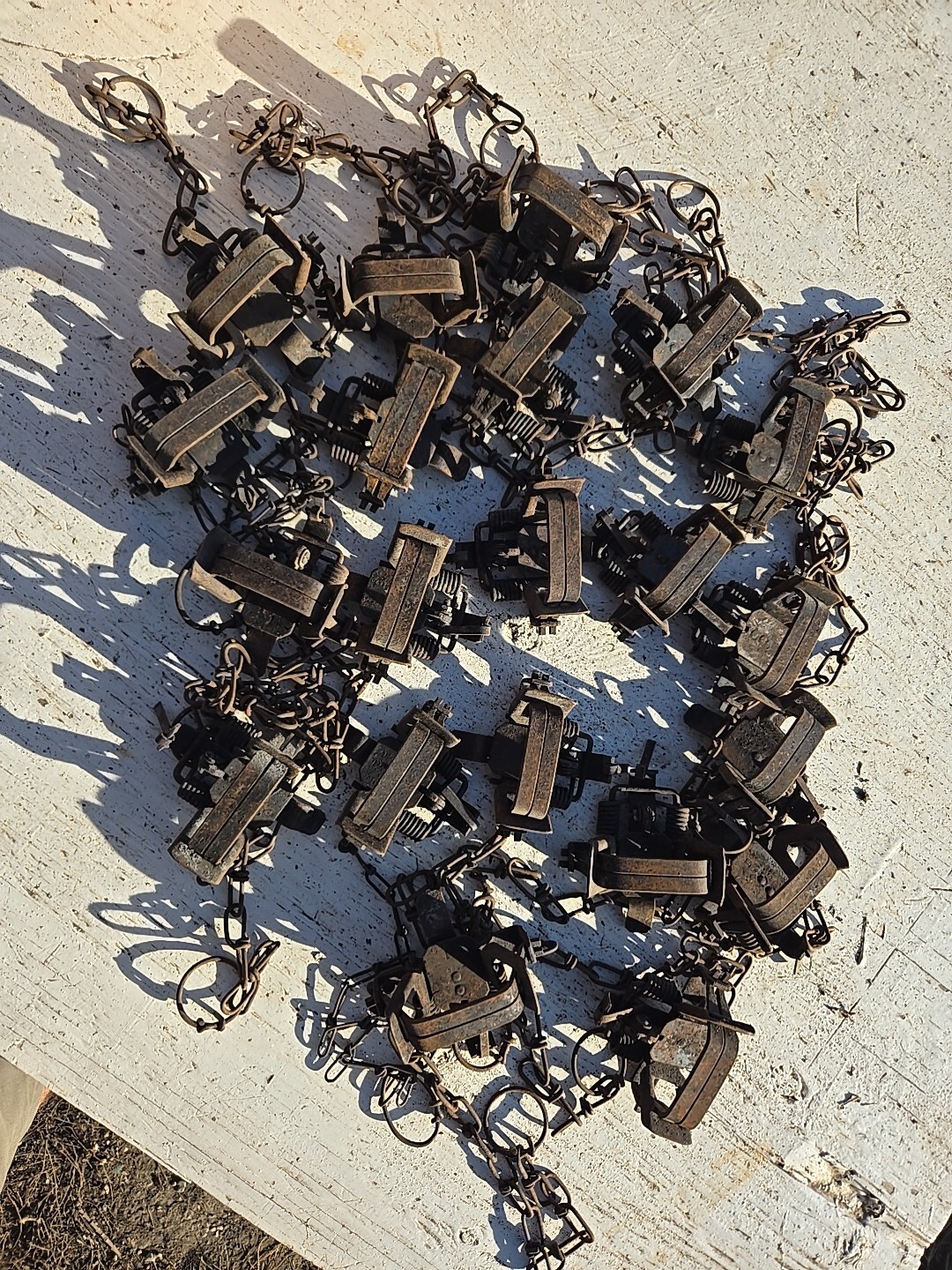 Lot (21) used Vintage Northwoods No. 1 Coil Spring Traps Muskrat Mink ...