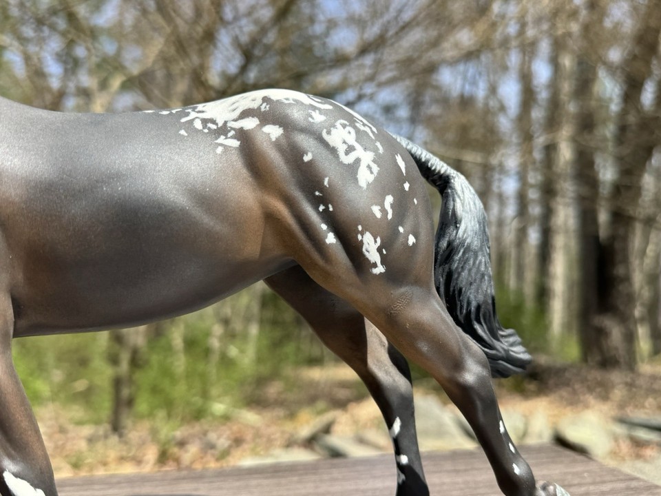 Breyer Custom Roxy | eBay