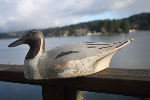 Pintail Drake duck decoy, unknown maker, OP, boat style tail, solid wood. | eBay