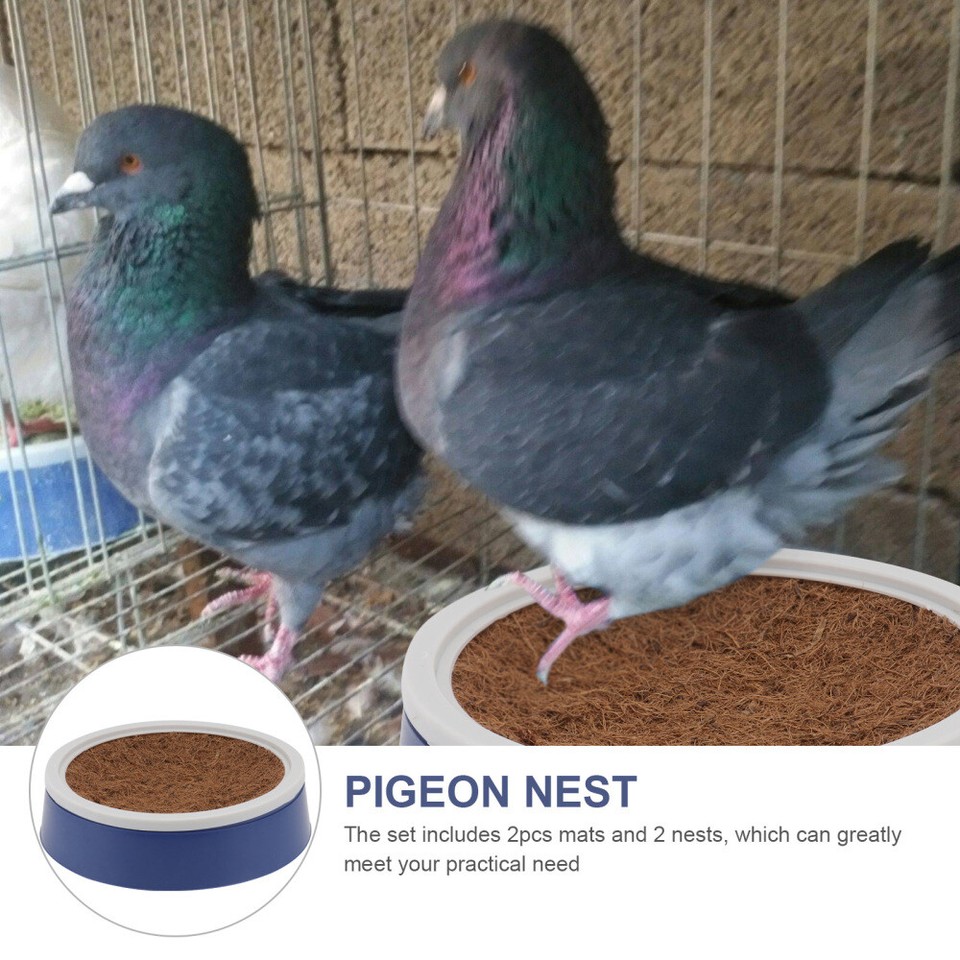 2 Sets Pigeon Nest Plastic Basin Pet Supply for Pigeons Breeding | eBay