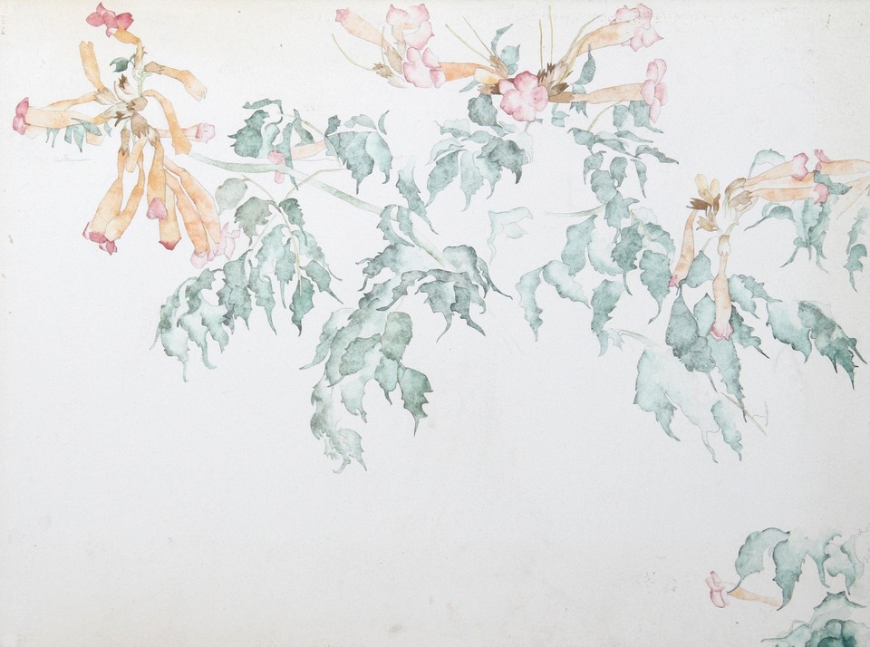 Carl Bergman, Orange Flowers, Watercolor on Arches, signed | eBay UK