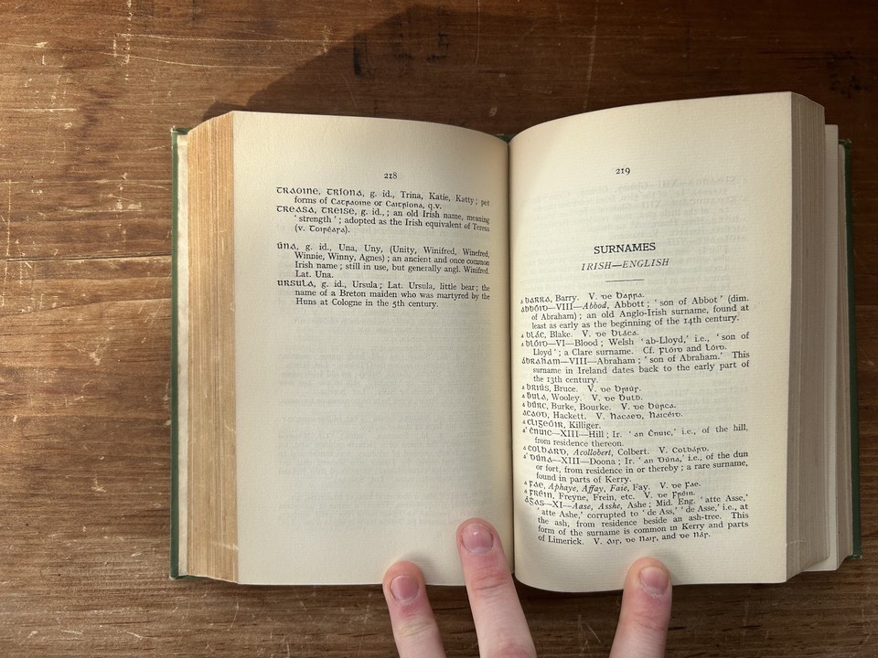 Irish Names and Surnames (Sloinnte Gaelheal Is Gall) by Patrick Woulfe ...