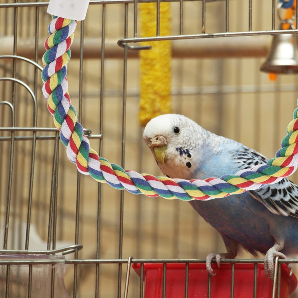 Parrot Bird Stand Climbing Rope Perch Swing Cage Accessories Stands for ...