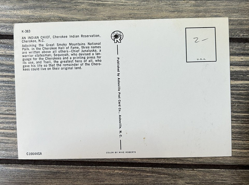 Vintage AN INDIAN CHIEF, Cherokee Indian Reservation Cherokee N.C. Post ...