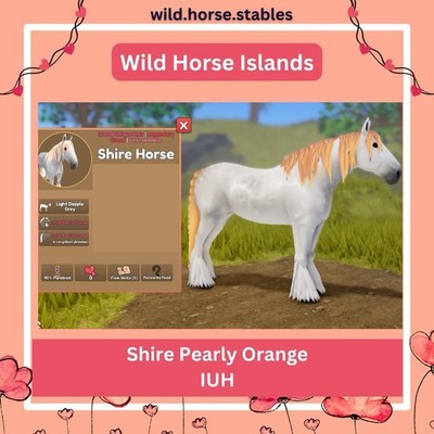 Island Unique Hair - Shire Pearly Orange IUH | eBay