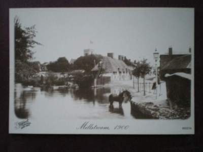 POSTCARD SOCIAL HISTORY MILLSTREAM - HORSE IN WATER - 1900 | eBay
