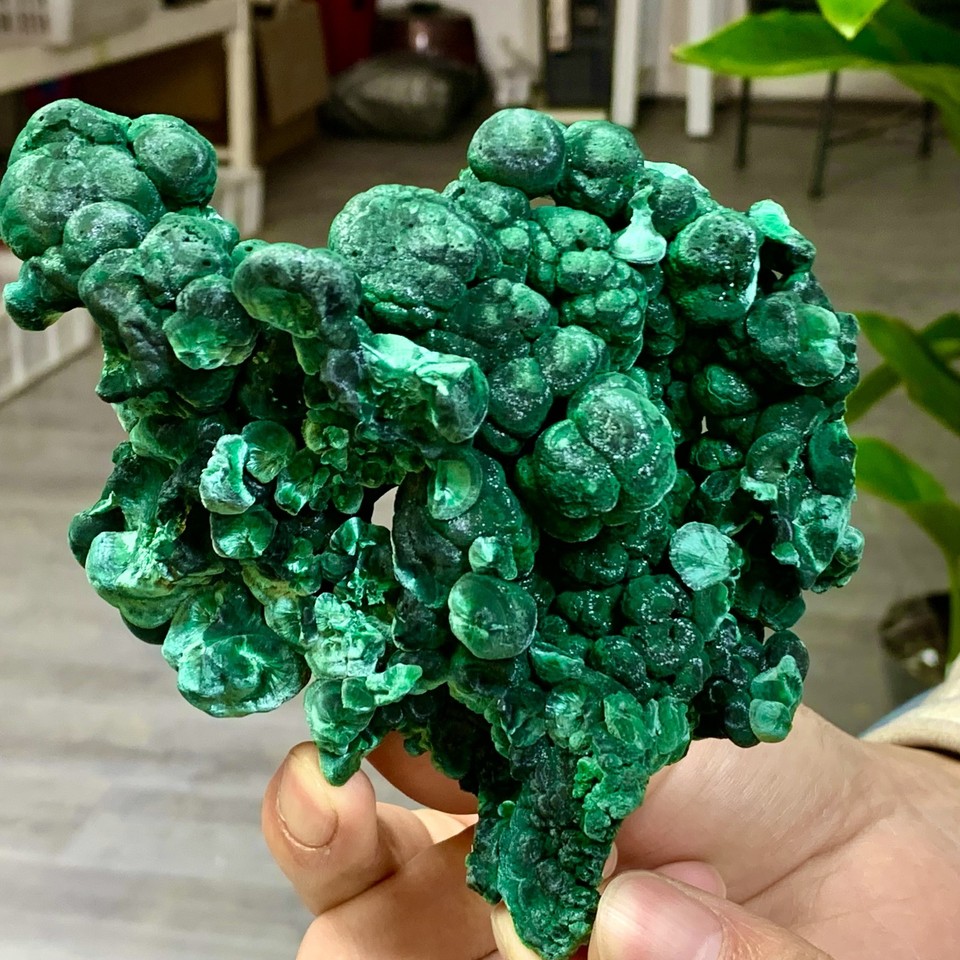 480G Natural glossy Malachite transparent cluster rough mineral sample ...