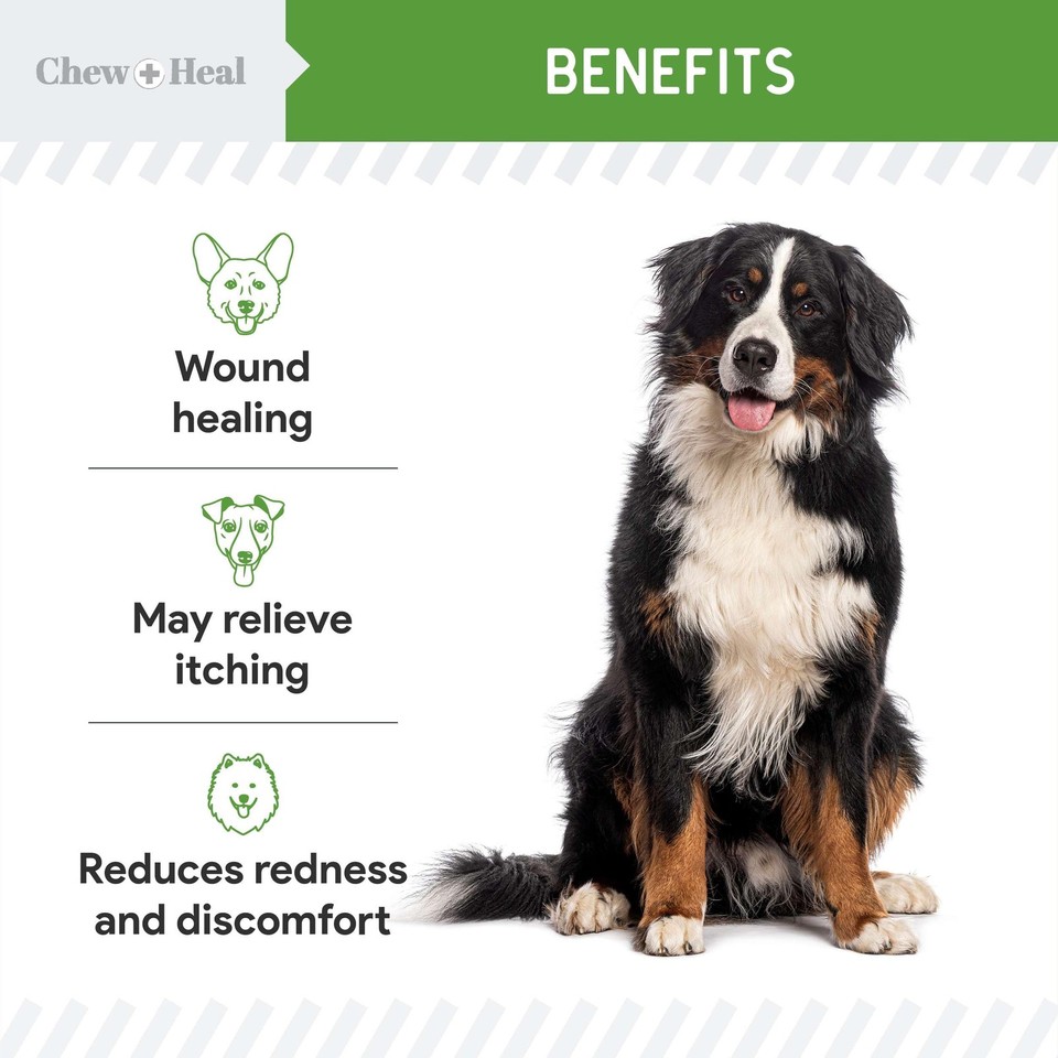 Soothe & Heal Fast - Natural Dog Wound Spray for Cuts, Hot Spots ...