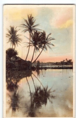 PALM TREES Honolulu Mapunapuna? Hawaii RPPC Hand-Tinted Real Photo ...