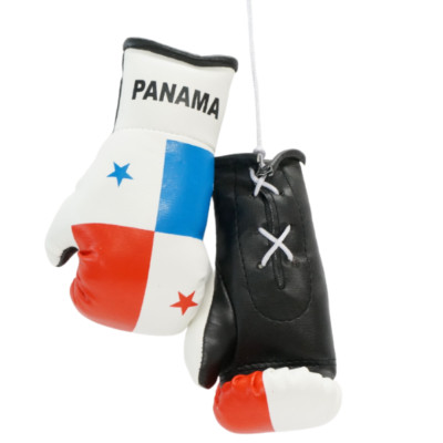 Panama Boxing Glove / Panama Flag / Mini Panama Boxing Glove | eBay