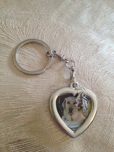 Pet Memorial Keepsake Photo Key Ring - Pet Loss Sympathy Bereavement ...