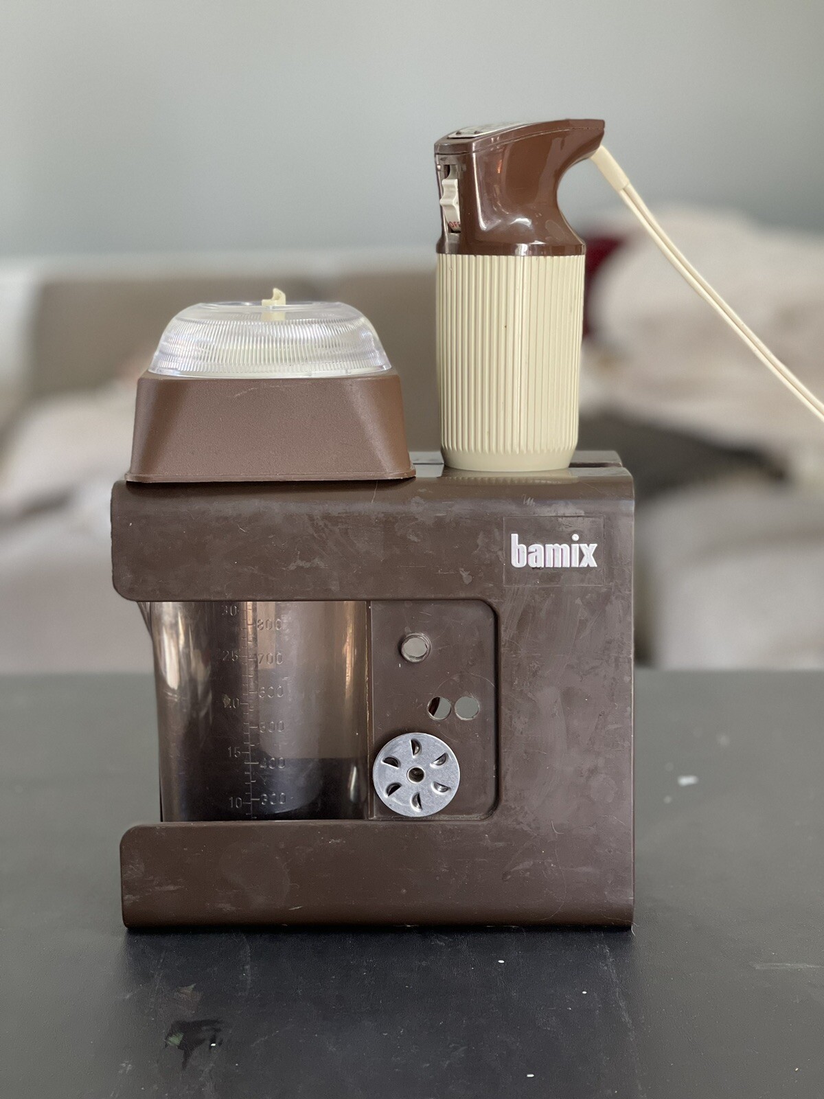 All-Purpose Hand Immersion Blender Wand Mixer by BAMIX M-122 2 Speed ...