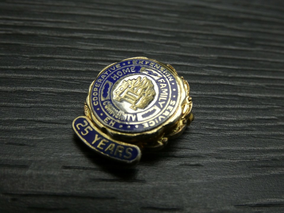 Vintage Sterling Silver Gold Tone EH Home Community Family 25 Year Pin ...