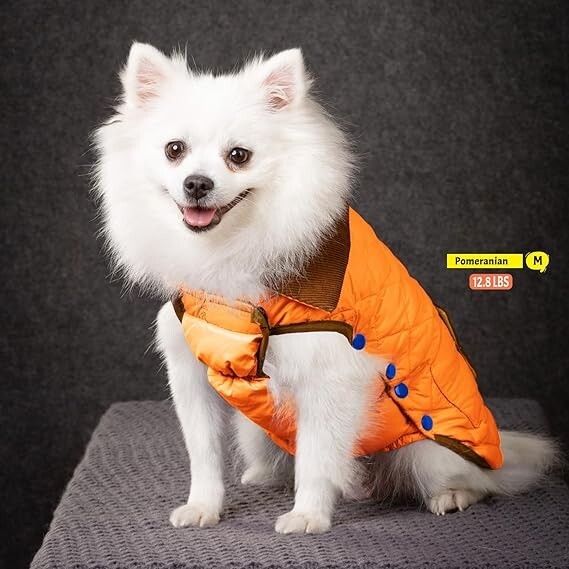 Warm Dog Puffer Jacket Orange (Large), Water-Resistant Puffer Jacket | eBay