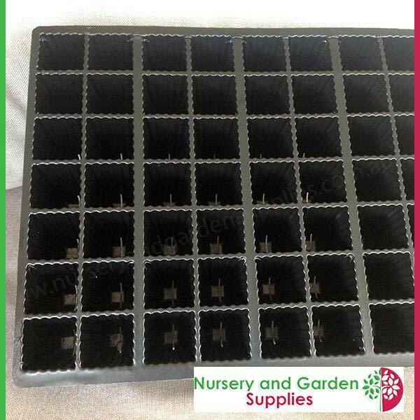 56 Cell Seedling Plant Propagation Plug Tray - PK of 2 - Cuttings, Seed ...