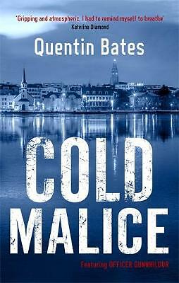 Cold Malice: A dark and chilling Icelandic noir thriller by Quentin ...
