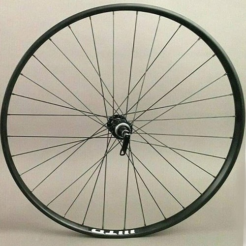 WTB I25 29er MTB Bike Rear Wheel 10 x 141mm QR fits Surly Gnot Boost ...