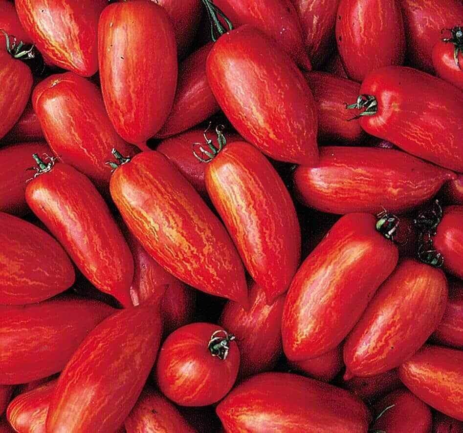 Tomato Speckled Romen - 50 seeds ORGANIC / NON GMO | eBay