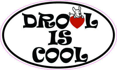 5x3 Oval Drool Is Cool Sticker Dog Animal Cup Tumbler Car Window Bumper ...