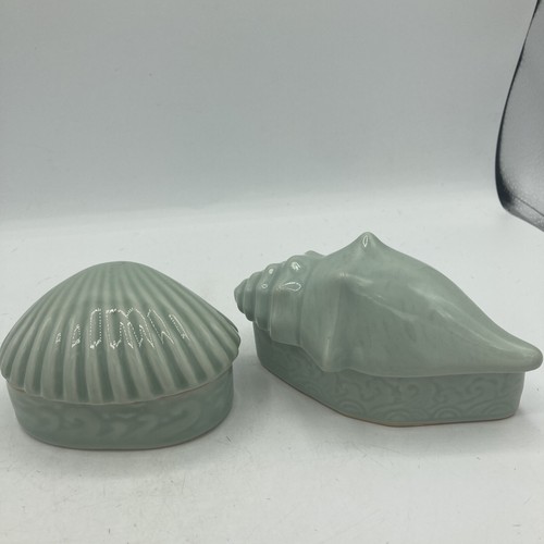 Vintage Chinese Japan Celadon Sea Conch Shell & Seashell Trinket Box | eBay