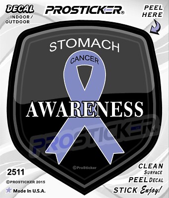 ProSticker 2511 (One) 4" Cancer Awareness Series "Stomach" Decal ...