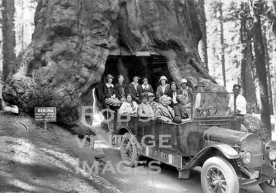 Logging Camp photo Drive thru Giant California Sequoia Redwood Log 1916 ...