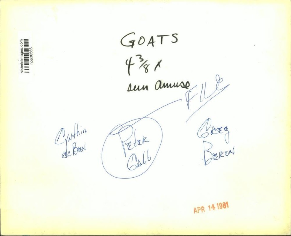 1981 Press Photo Cynthia de Bren, Peter Gabb and Greg Beron - nop30566 ...