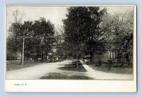 1910. AMBER, NY. STREET VIEW, RESIDENCES. POSTCARD. RC22 | eBay