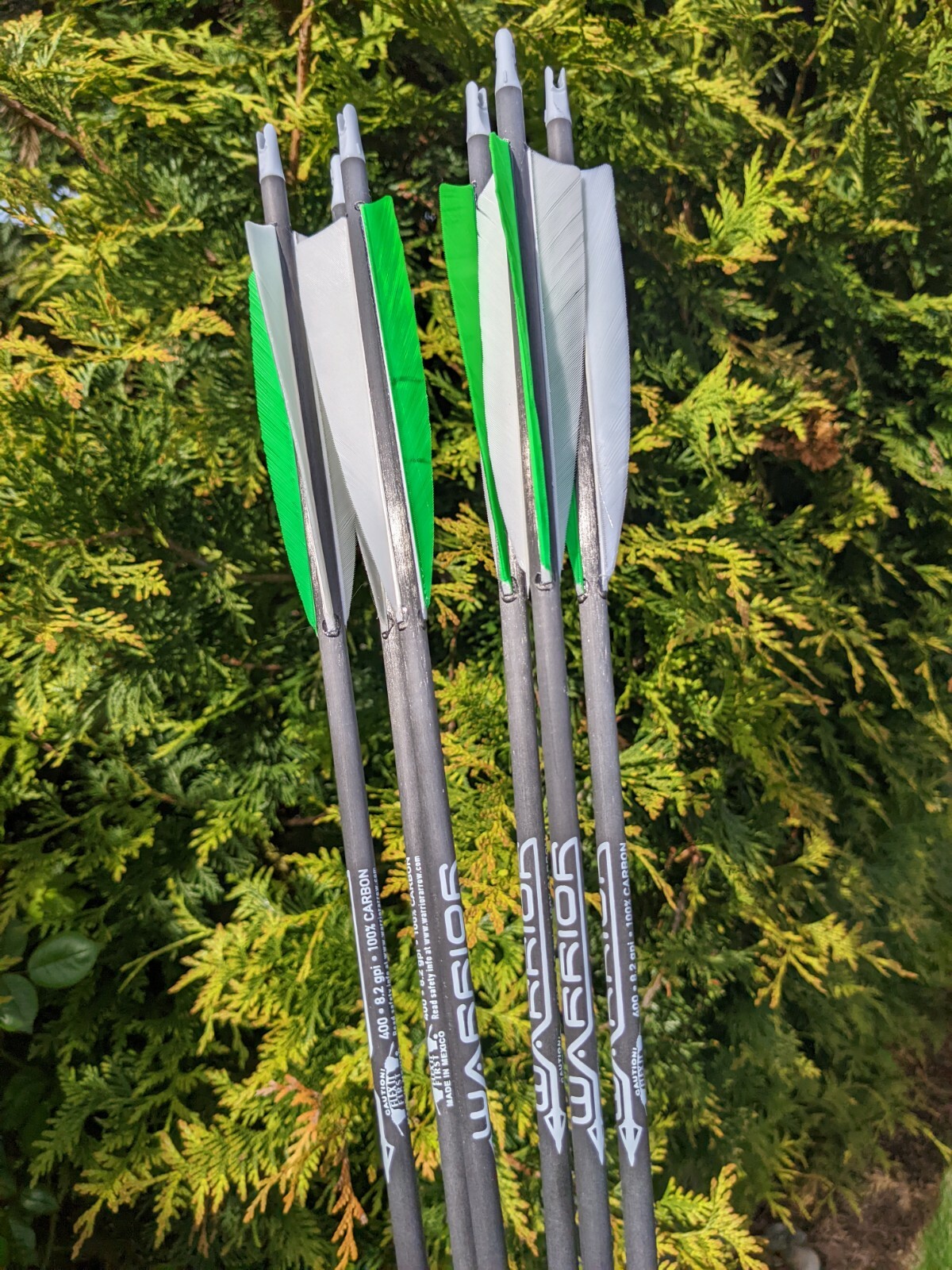 Gold Tip Warrior Carbon Arrows. 700, 600, 500, 400, 340, or 340. 6 Pack ...