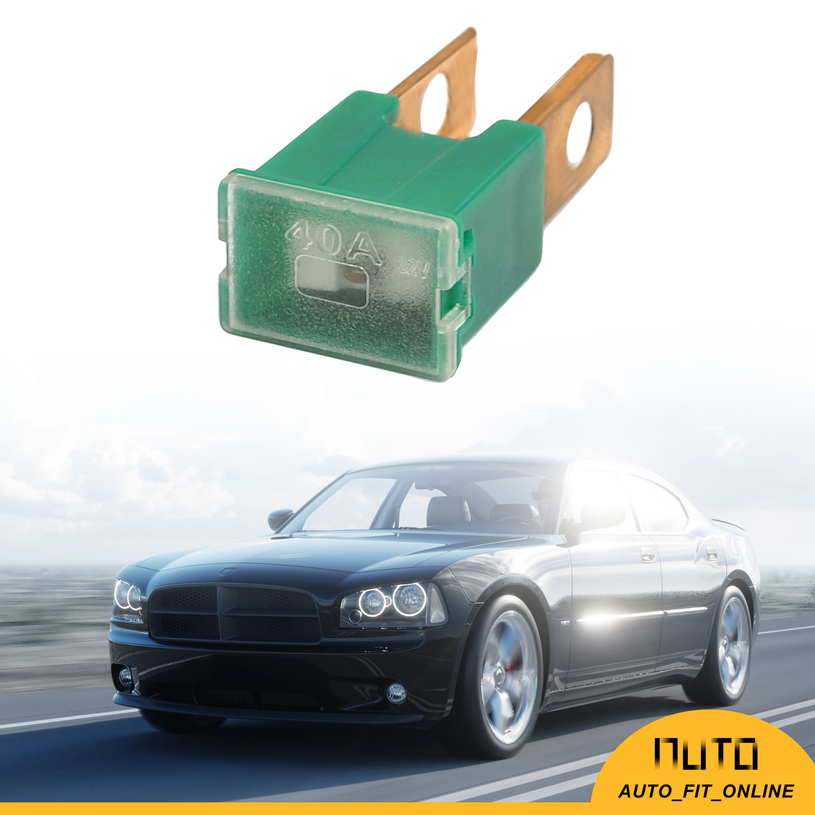 Straight Male Terminals Link PAL Fuse 40A Green Single Custom for Auto ...