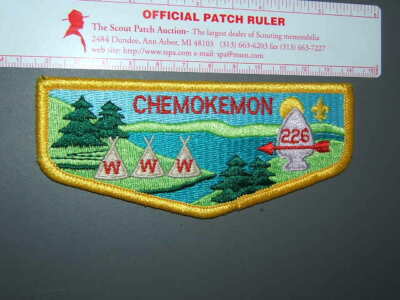 Boy Scout OA 226 Chemokemon flap 0990M | eBay