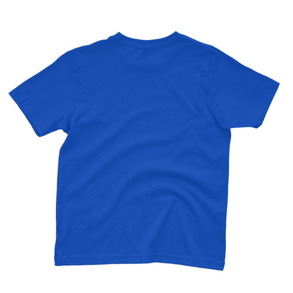 Sheldon Cooper 73 Perfect Number Inspired by Big Bang Theory Printed T ...