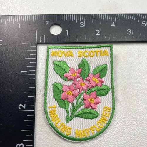 Vtg Canada NOVA SCOTIA Floral Emblem TRAILING MAYFLOWER Flower Patch 22KC | eBay