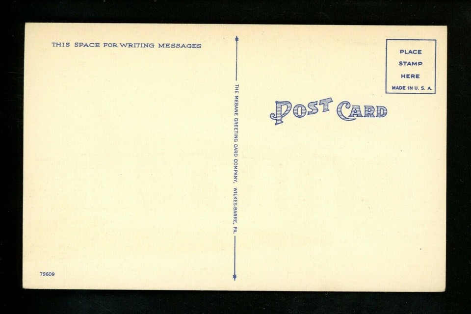 Post Office postcard Pennsylvania PA Sunbury flag mailbox flowers ...