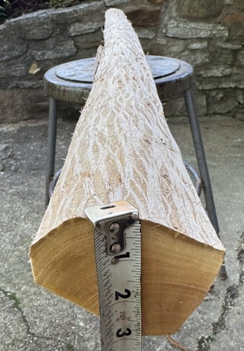 66” Hickory Bow Stave/ Bow Making Wood/ Bow Staves | eBay