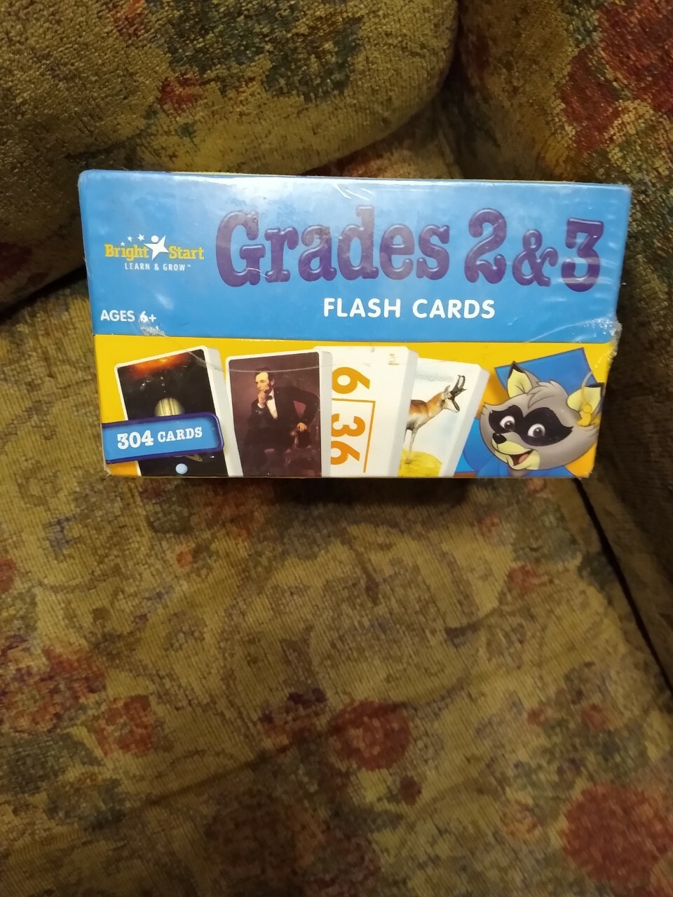 Bright Start Flash Cards Grades 2 & 3 BRAND NEW FACTORY SEALED 304 ...