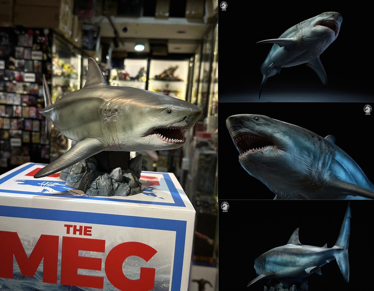Megalodon The Monster Shark Lives