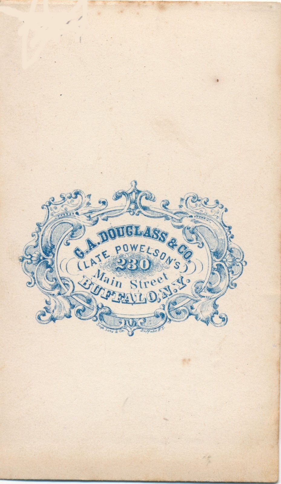 1870-1879 CDV Buffalo, NY Mom & Daughter Douglass & Co.Sepia Photograph ...