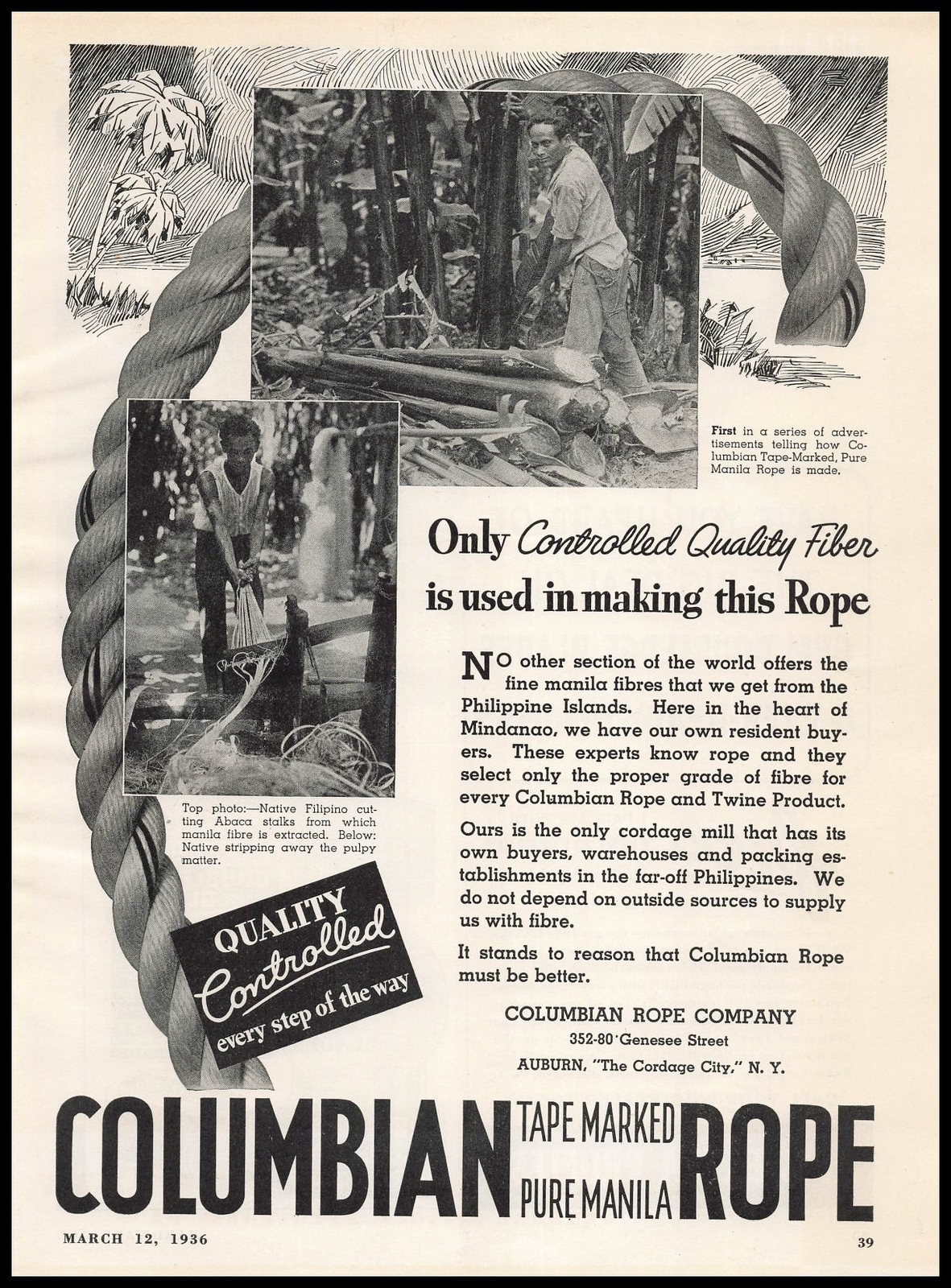 1936 Columbian Rope Co. Mindanao Philippines Photo Abaca Stalks Vintage ...