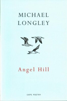 Angel Hill by Michael Longley 9781911214083 | Brand New | Free UK ...