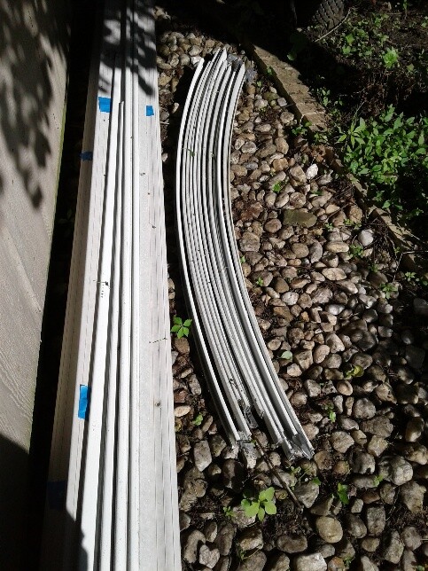 Johnny Weissmuller Pool When Tarzan Struck Gold At The Games: The