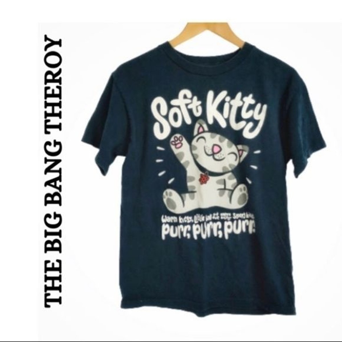 Big Bang Theory Sheldon Soft Kitty